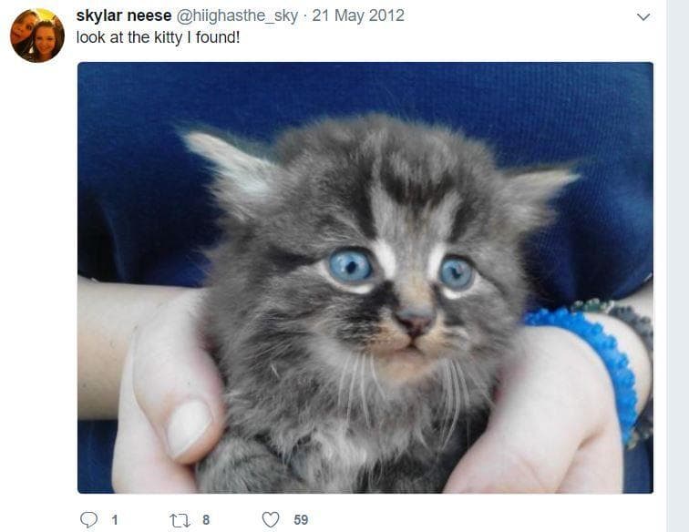 Horrifying Facts About The Murder Of Skylar Neese