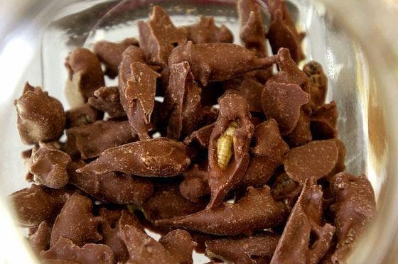 Sperm Candy And Other Bizarre Treats From Around The World