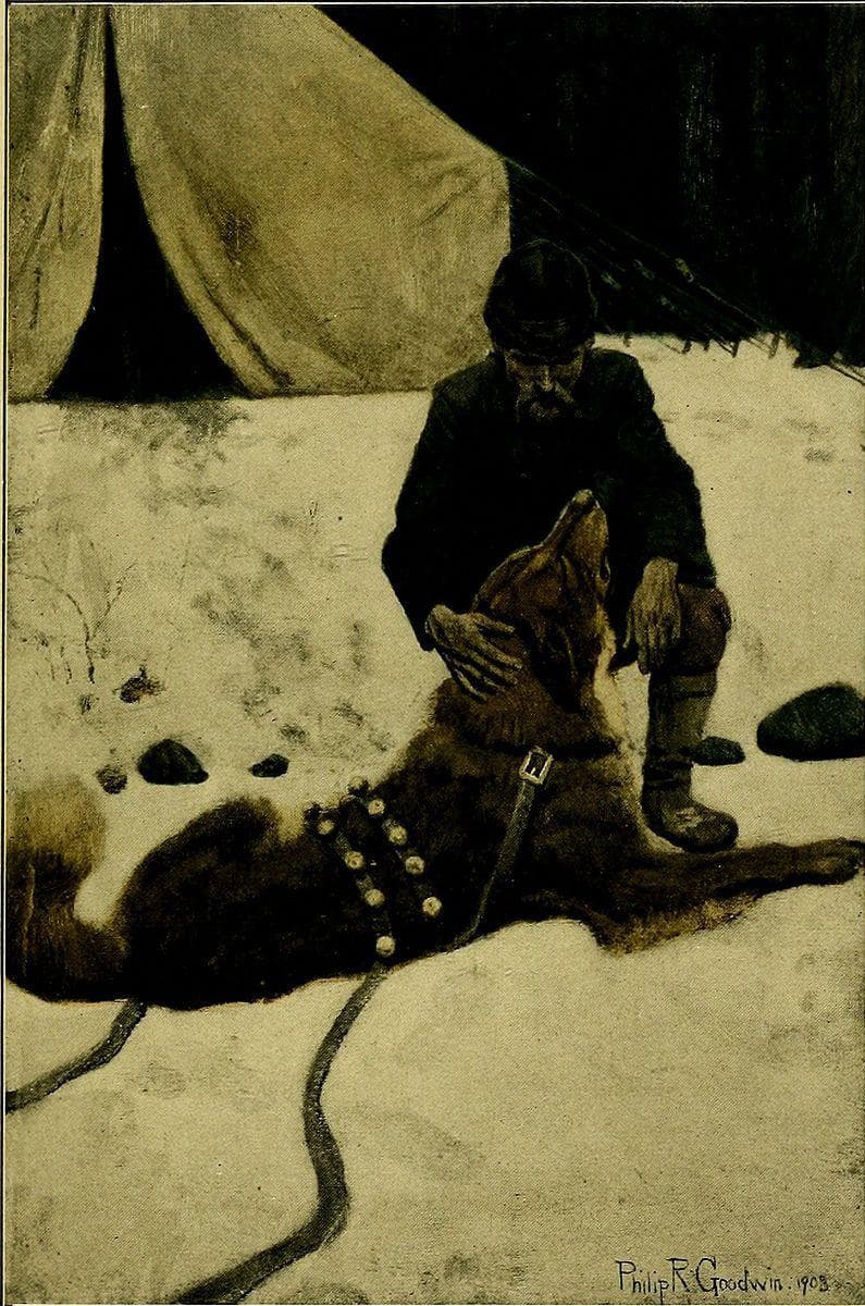 The Fascinating True Story Behind Call of the Wild's Protagonist Dog