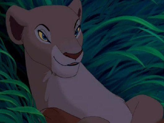 13 Messed Up Things You Never Noticed About The Lion King