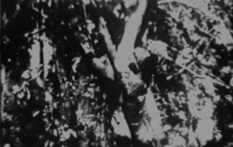 13 Disturbing Facts About The Brooke Hart Kidnapping And Murder