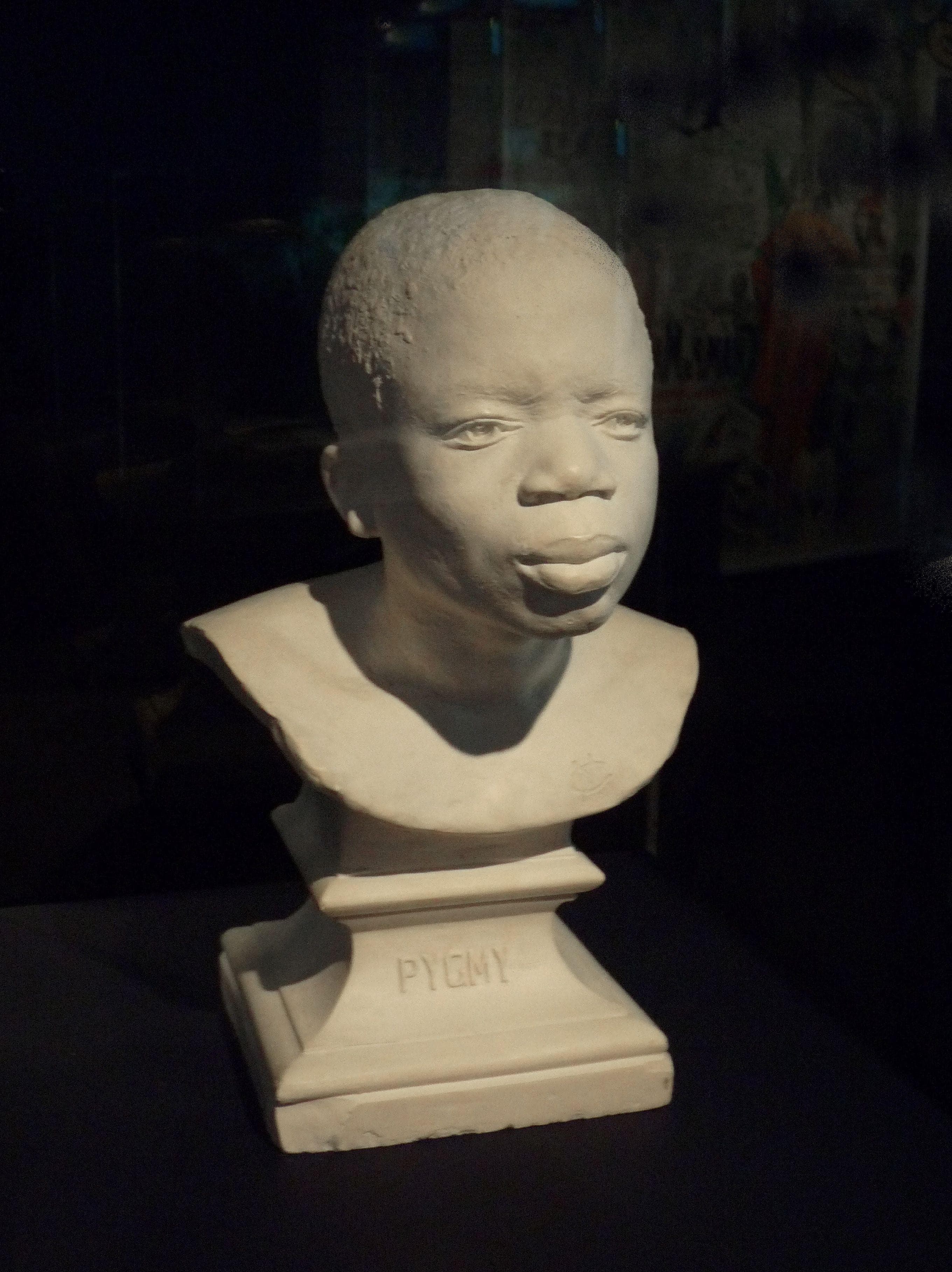 10 Heartbreaking Facts About The Pygmy Ota Benga