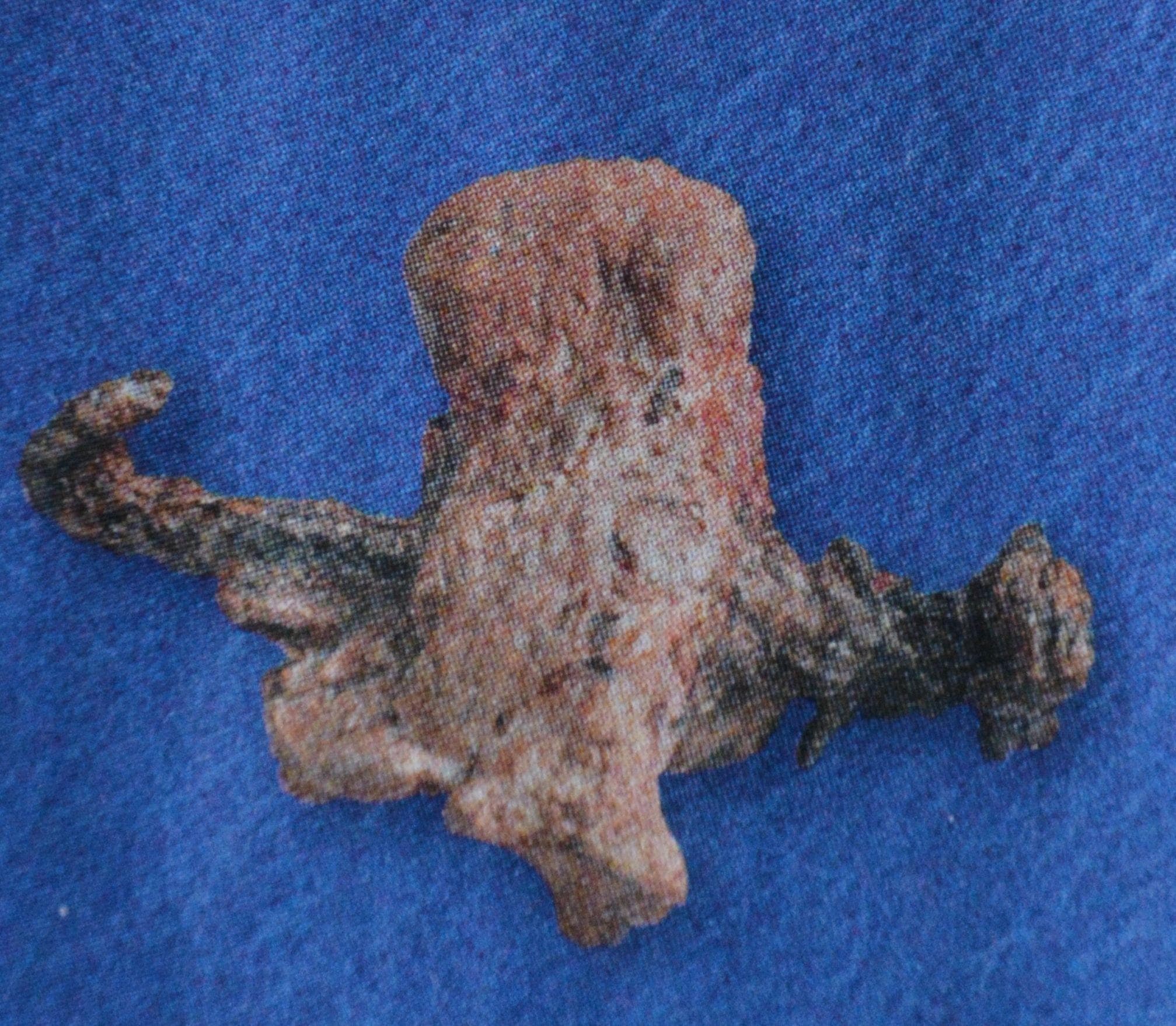 Experts Have One Piece Of Archaeological Evidence That Crucifixion ...