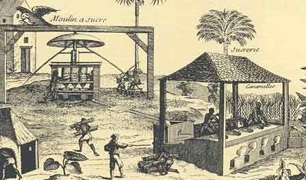 What Sugar Plantations Were Really Like In The 1600s