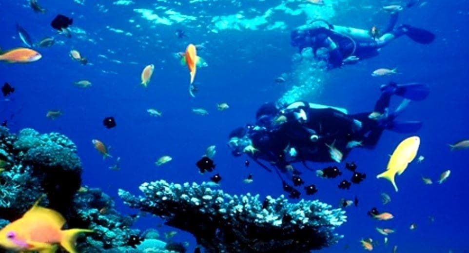 Facts About The Death Of Tina Watson And Her "Honeymoon Killer" Husband ...