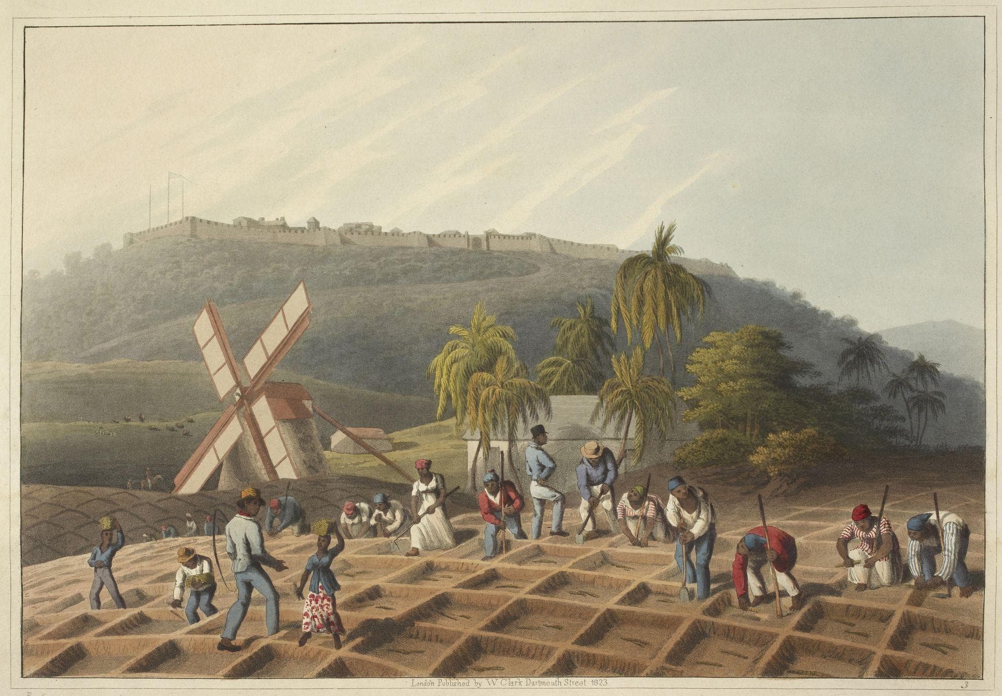 What Sugar Plantations Were Really Like In The 1600s