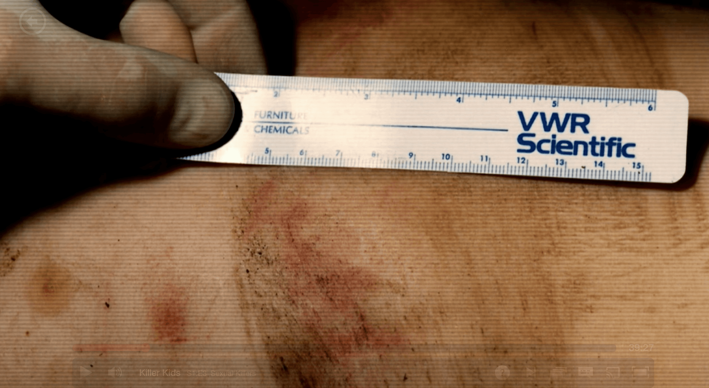 The Disturbing Case of Jason Gamache, Who Murdered a 6 Year Old