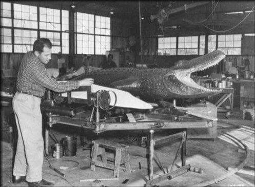 21 Amazing Photos Of Your Favorite Disney Rides Under Construction