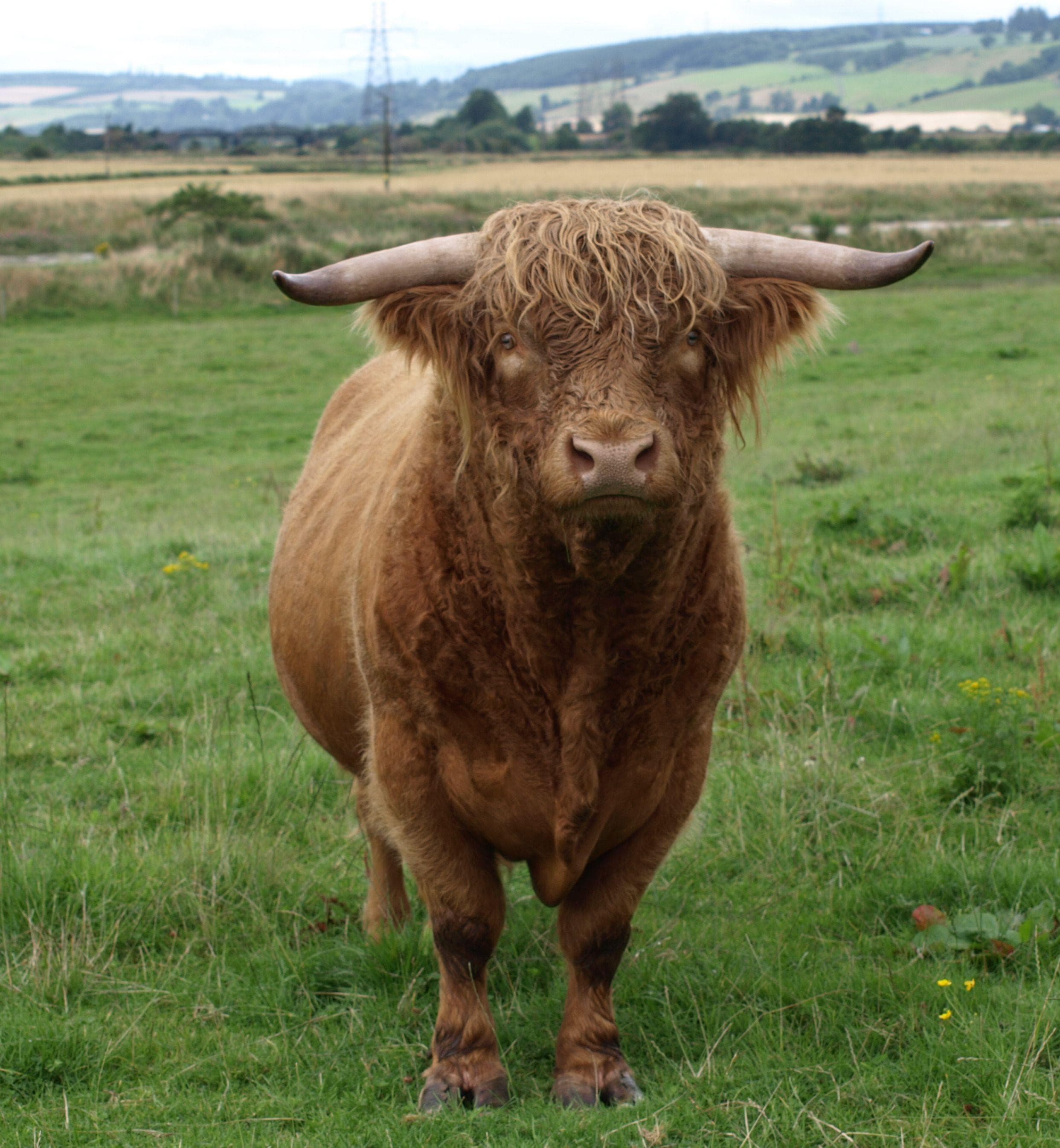 Can You Guess Which Animal You're Looking At Up Close?