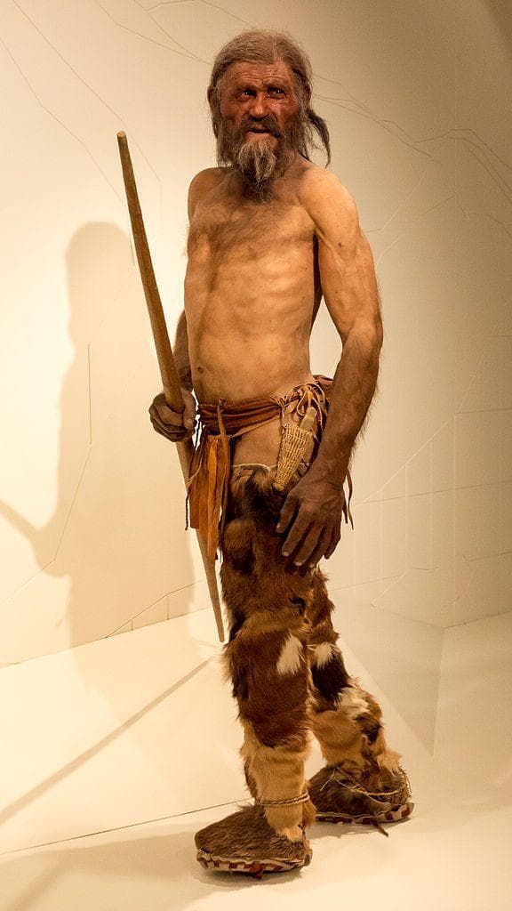 Evidence That Otzi The Iceman Cursed Multiple People