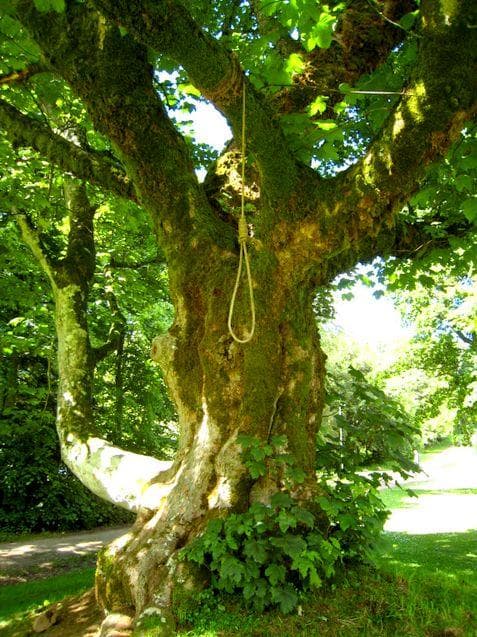 The Twisted Tale Of Sawney Bean's Cannibal Clan, The Inspiration For ...