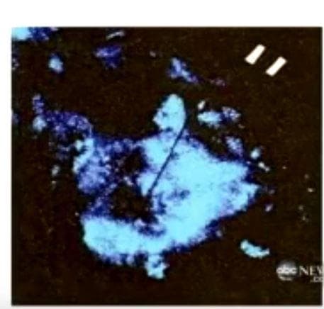 Compelling Evidence That They Caught The Wrong Guy In The Adam Walsh Case