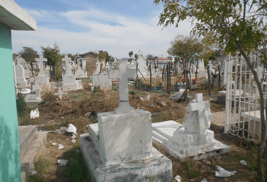 Does 'Grave Robbing For Morons' Feature Actual Advice From A Ghoul?