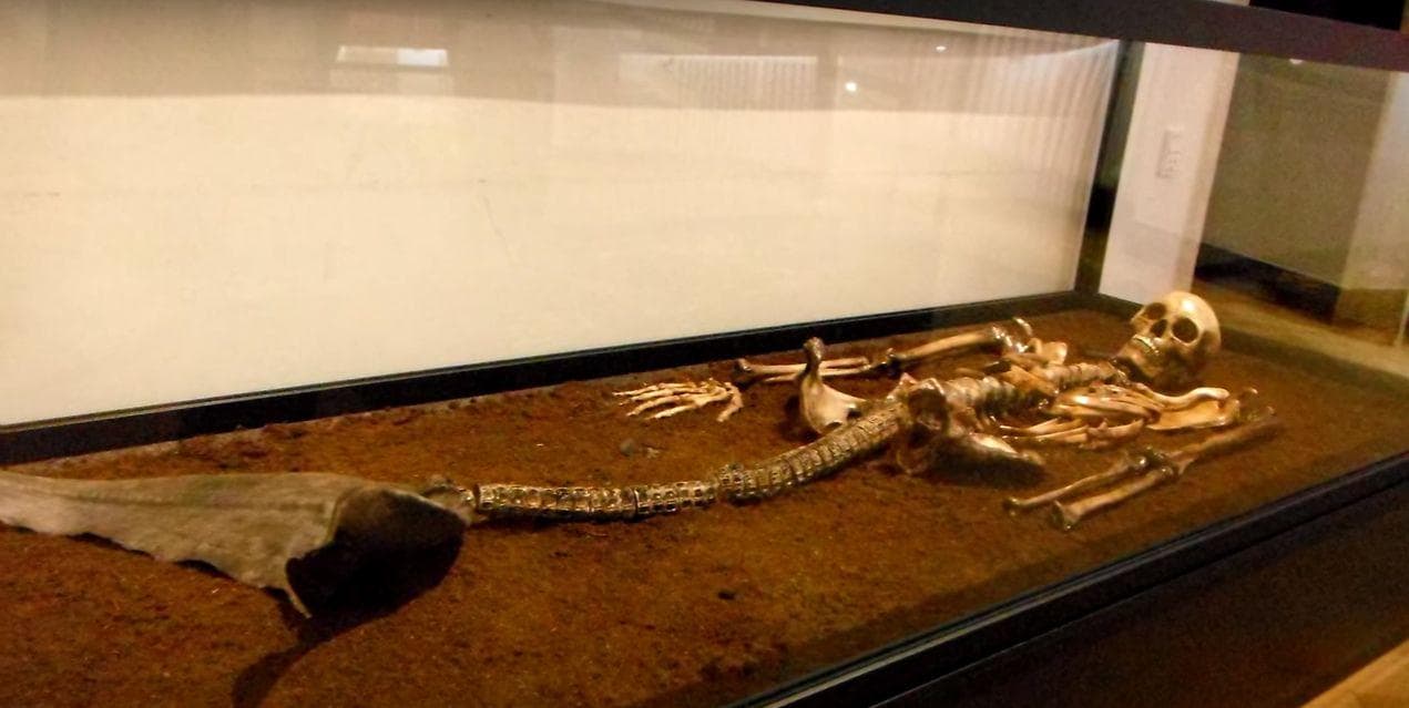 Are Mermaids Real? These Photos Seem To Suggest They Are