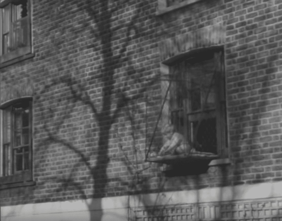The History of Horrifying "Baby Cages" and How They Were Used