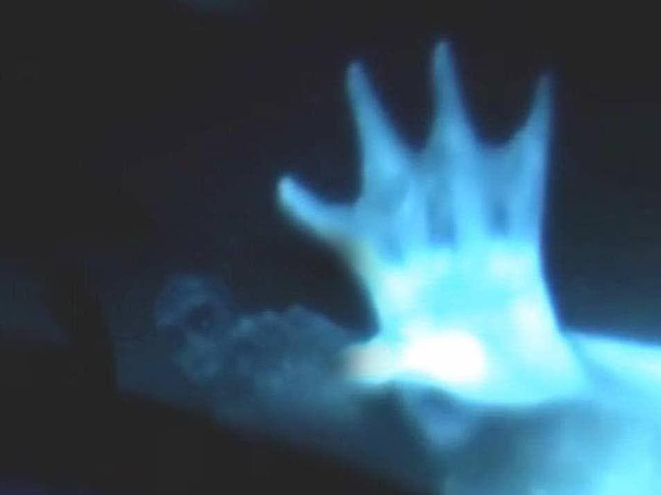 Are Mermaids Real? These Photos Seem To Suggest They Are