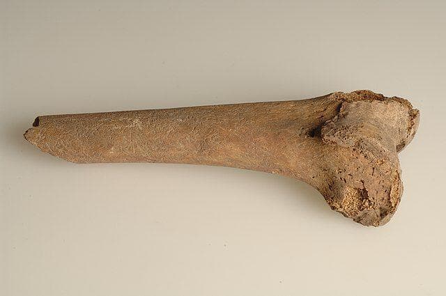 The Disturbing Consequences Of Putting Radium Into Common Products