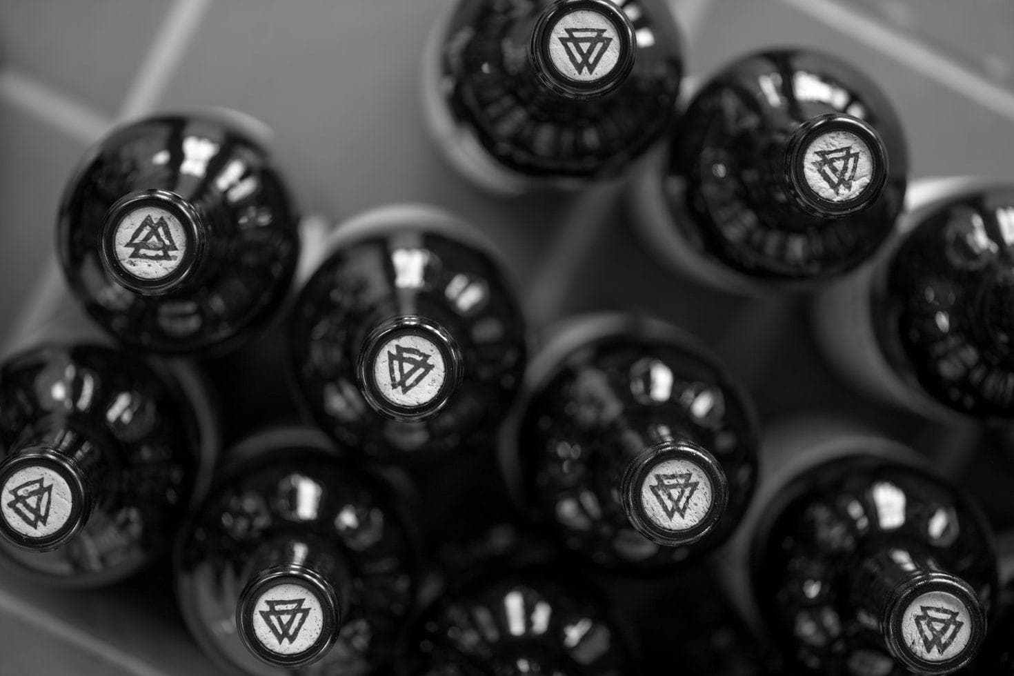 What Is Going On With The Suite Life Twins Cole And Dylan Sprouse