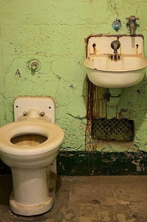 Al Capone's Brain Was Rotted By Syphilis To The Point Where He Was ...