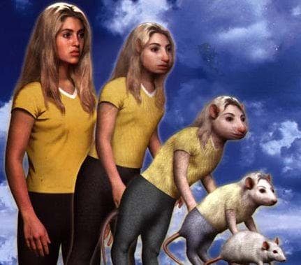 Animorphs Storylines That Are More Disturbing Than You Remember