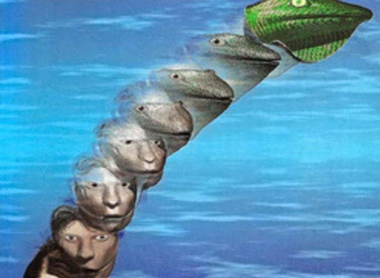 Animorphs Storylines That Are More Disturbing Than You Remember