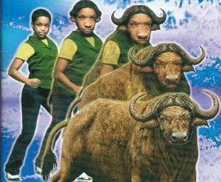 Animorphs Storylines That Are More Disturbing Than You Remember