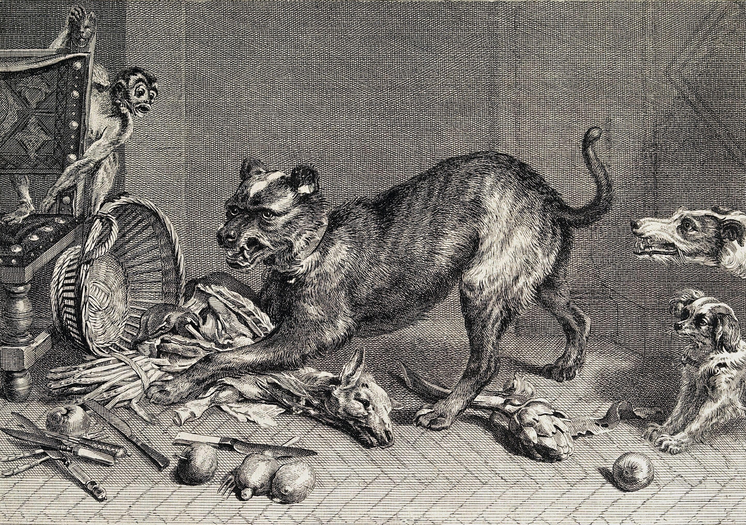 The Heartbreaking History Of Turnspit Dogs That Worked In Kitchens