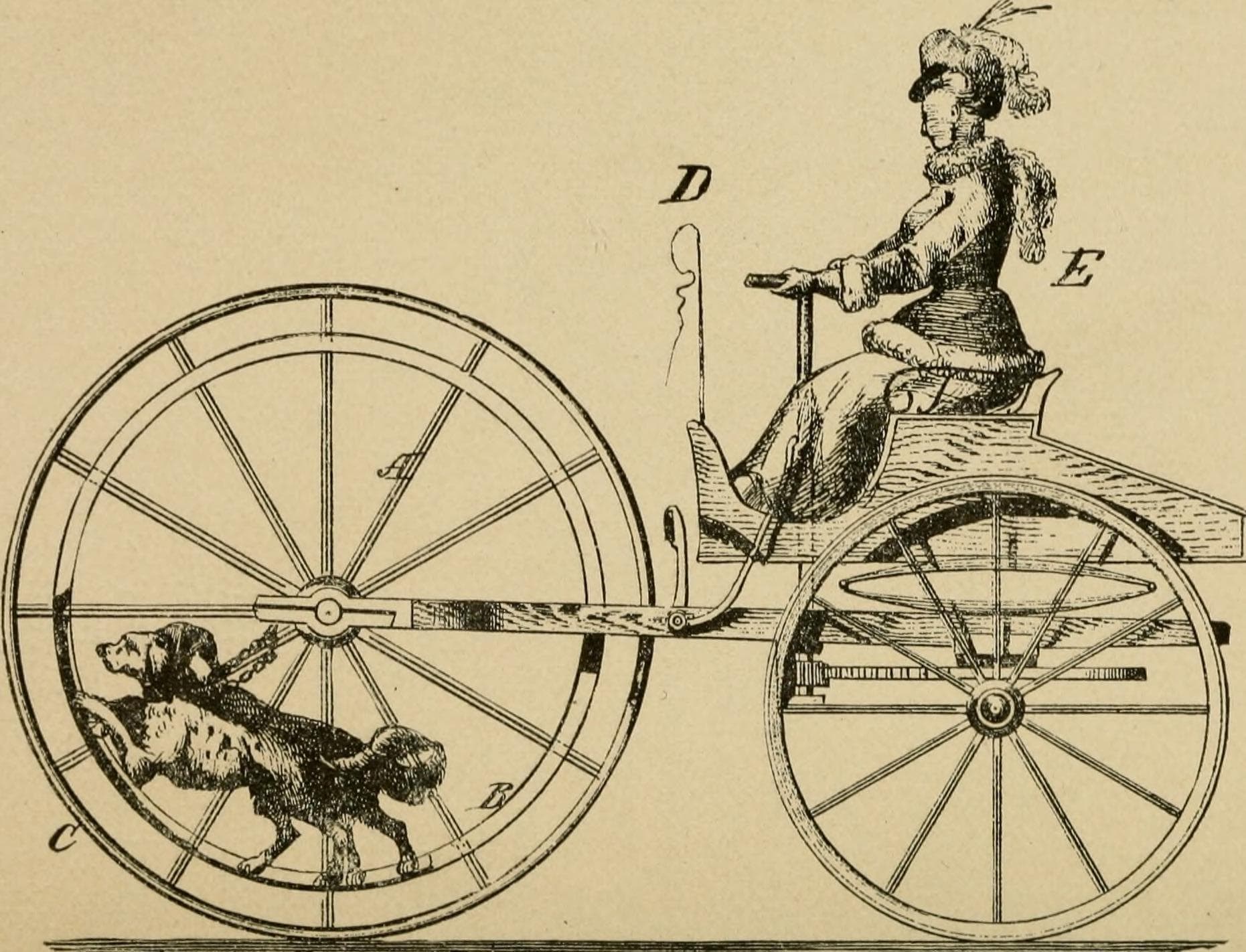 The Heartbreaking History Of Turnspit Dogs That Worked In Kitchens