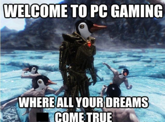 22 Hilarious PC Gaming Memes Console Players Won't Understand