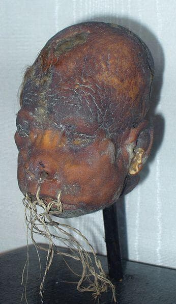What Is A Shrunken Head? Are They Made From Humans?