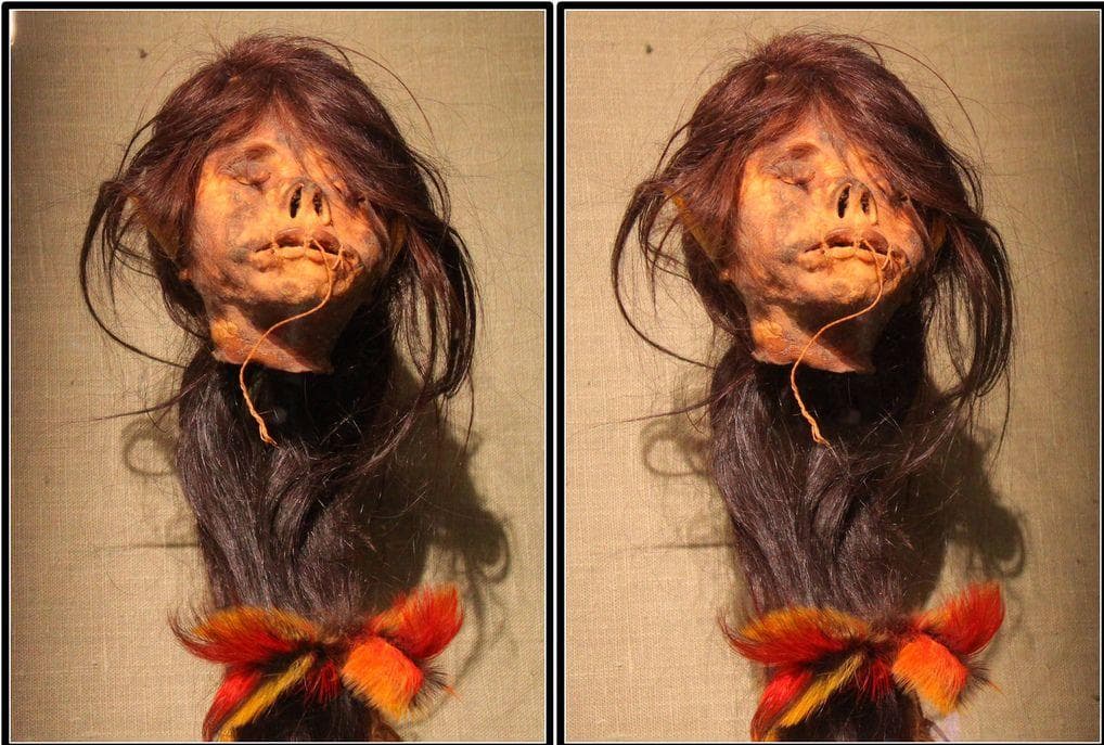 What Is A Shrunken Head? Are They Made From Humans?