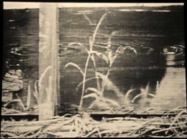 Human Shadows Nuclear Blast