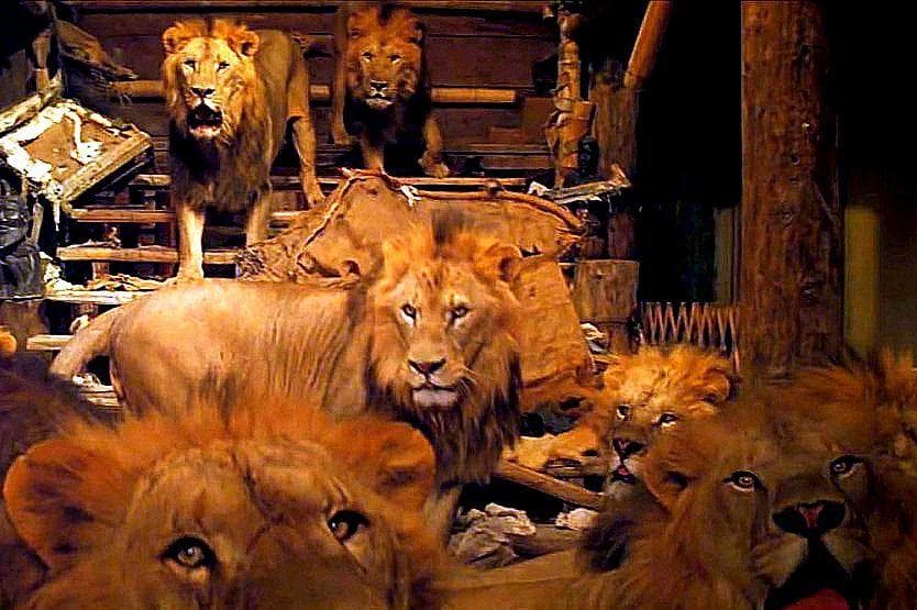 The Insane Story Behind Roar, The Most Dangerous Movie Ever Made