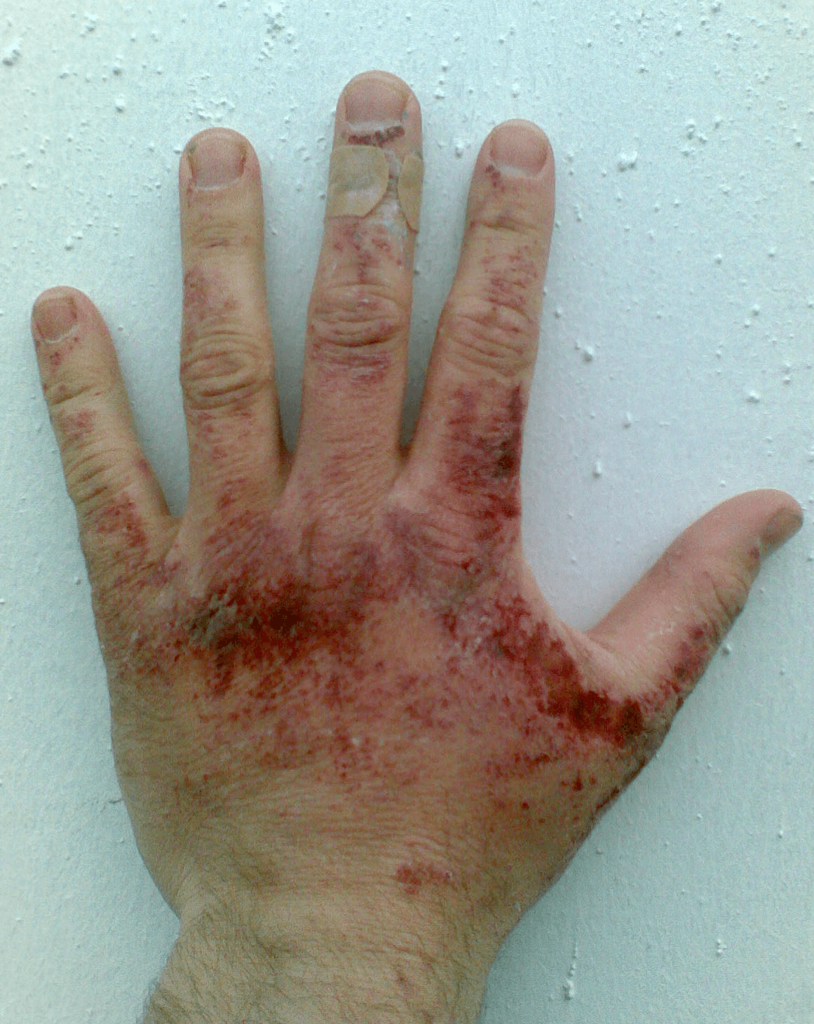 Frat Bros And Sorority Sisters Share Their Most Cruel And Unusual ...