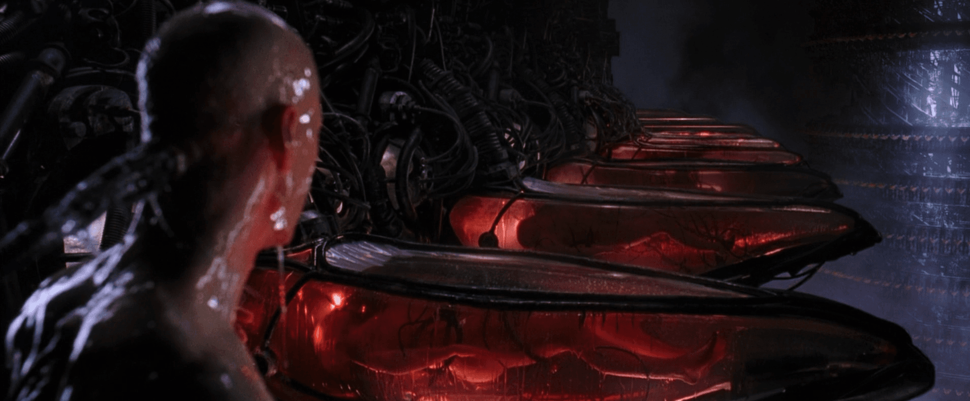 14 Intriguing Fan Theories About The Matrix