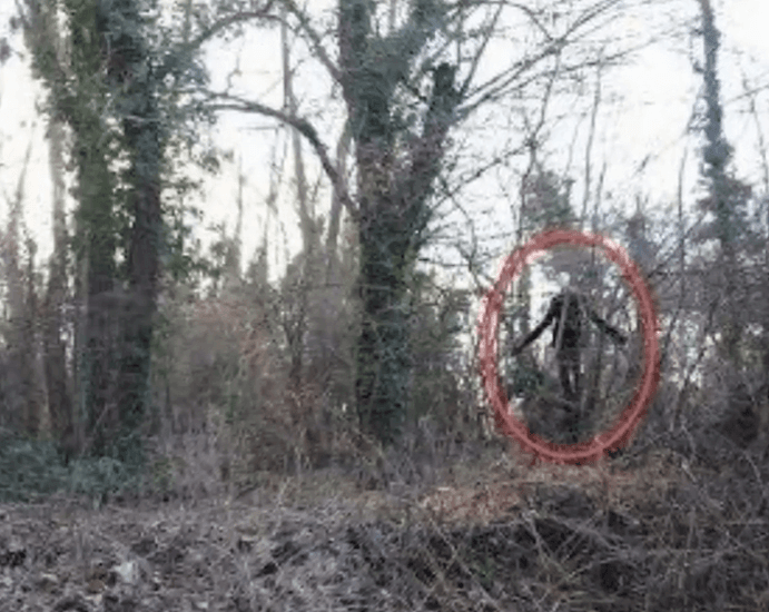 Slenderman In Real Life