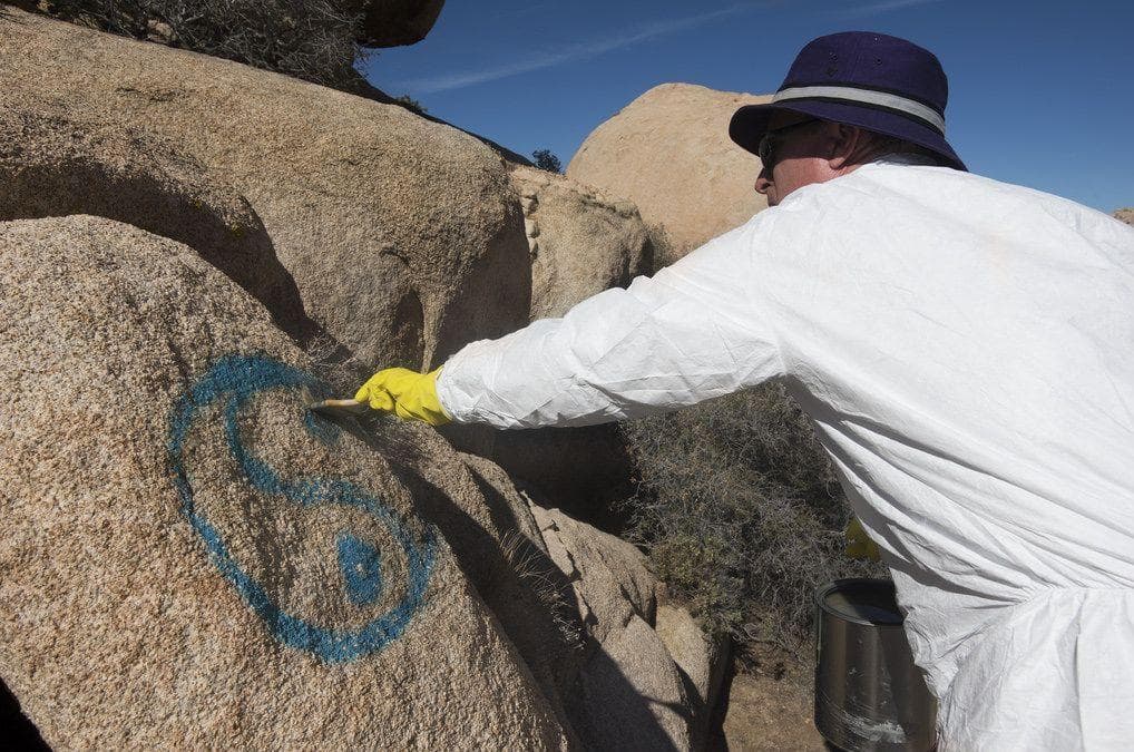 Tourists Are Swarming National Parks And Destroying Them