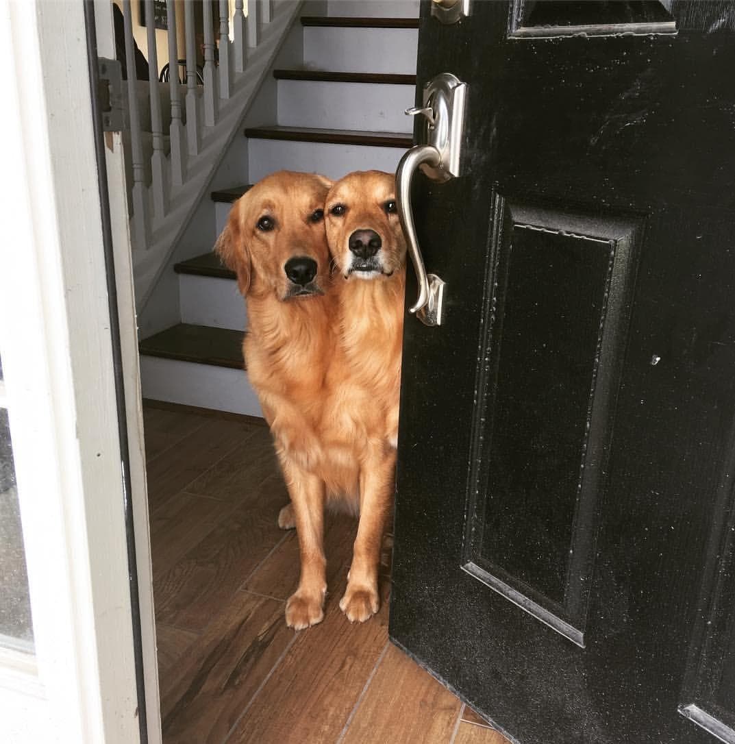 20 Mildly Interesting Photos That Will Make You Look Twice