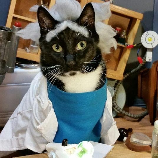 The Schwiftiest Rick And Morty Cosplays In The Multiverse