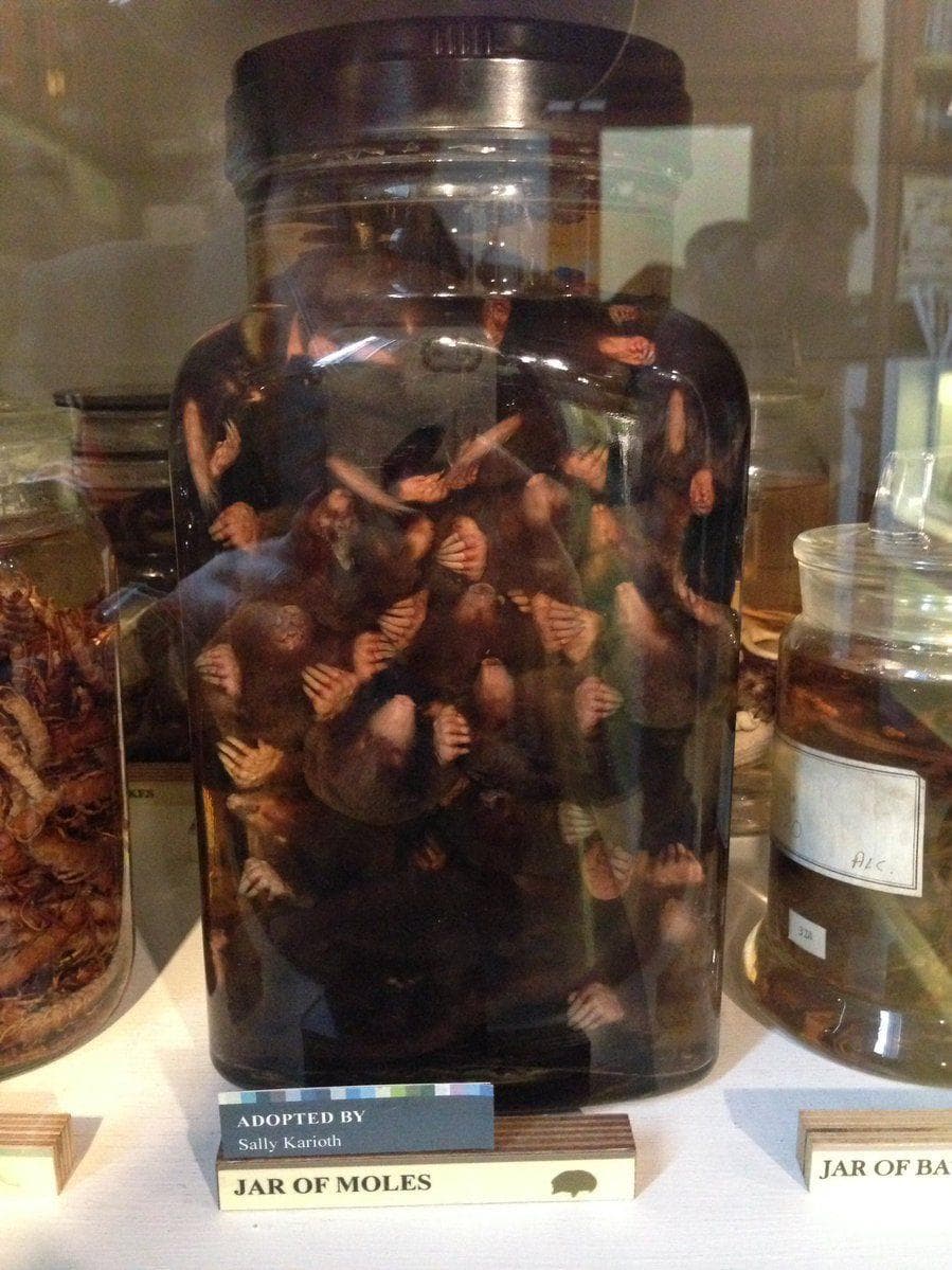 Weird And Interesting Historical Artifacts That Will Mesmerize You