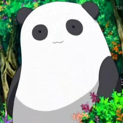 The 30+ Best Anime Panda Characters