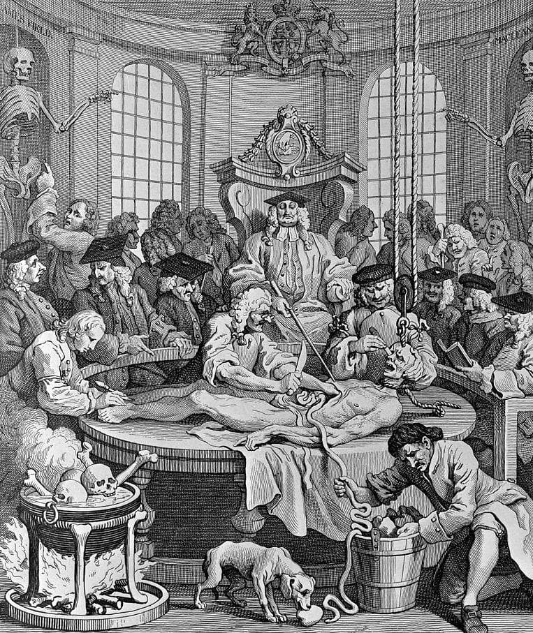 In The 16th-Century, People Watched Bodies Being Dissected The Way We ...