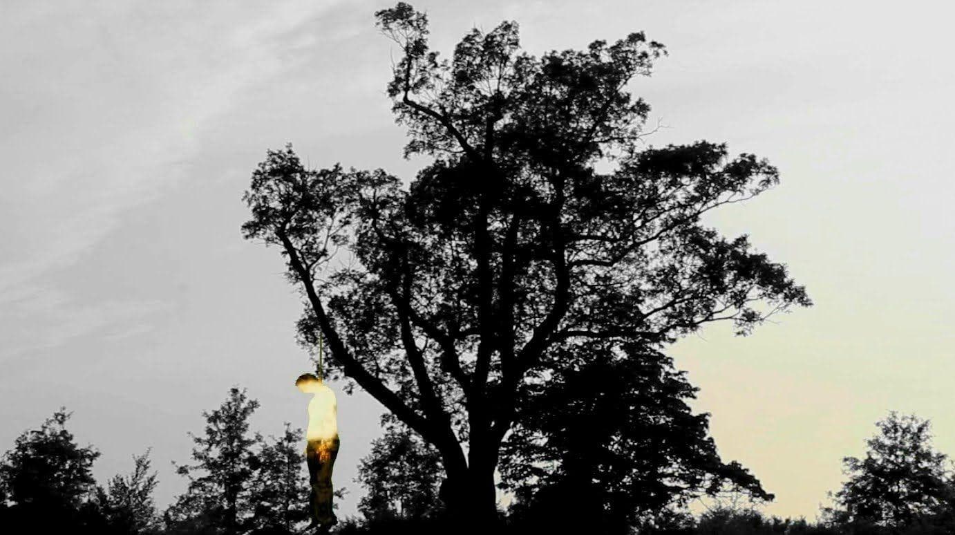 The "Devil's Tree" In New Jersey and The Terrible Things It Has Done