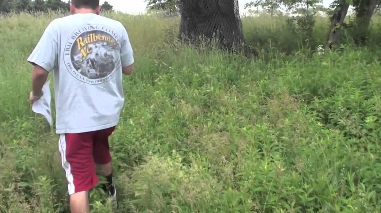 The "Devil's Tree" In New Jersey and The Terrible Things It Has Done