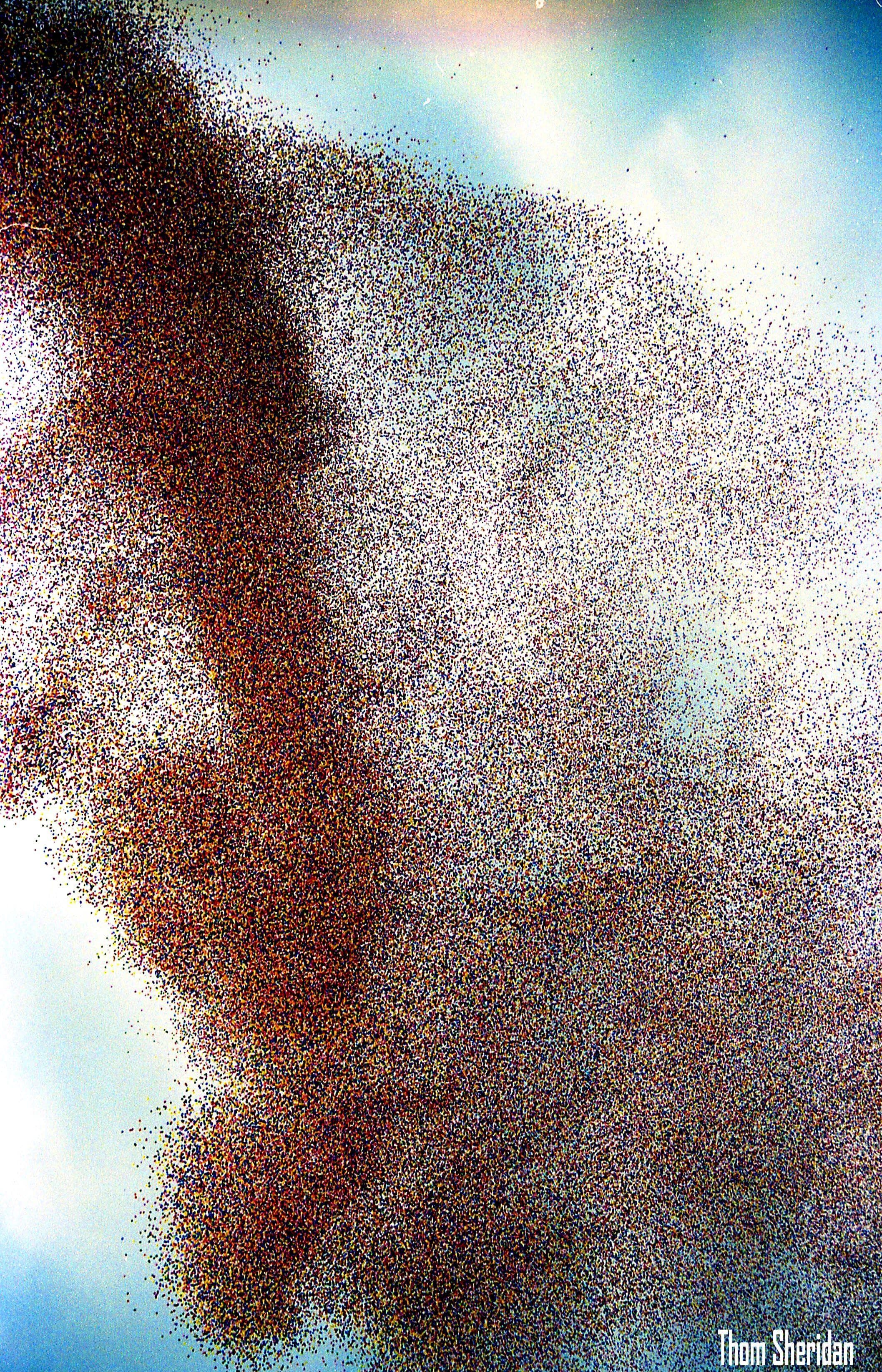 The Dark Aftermath Of When Cleveland Launched 1.5 Million Balloons Into ...