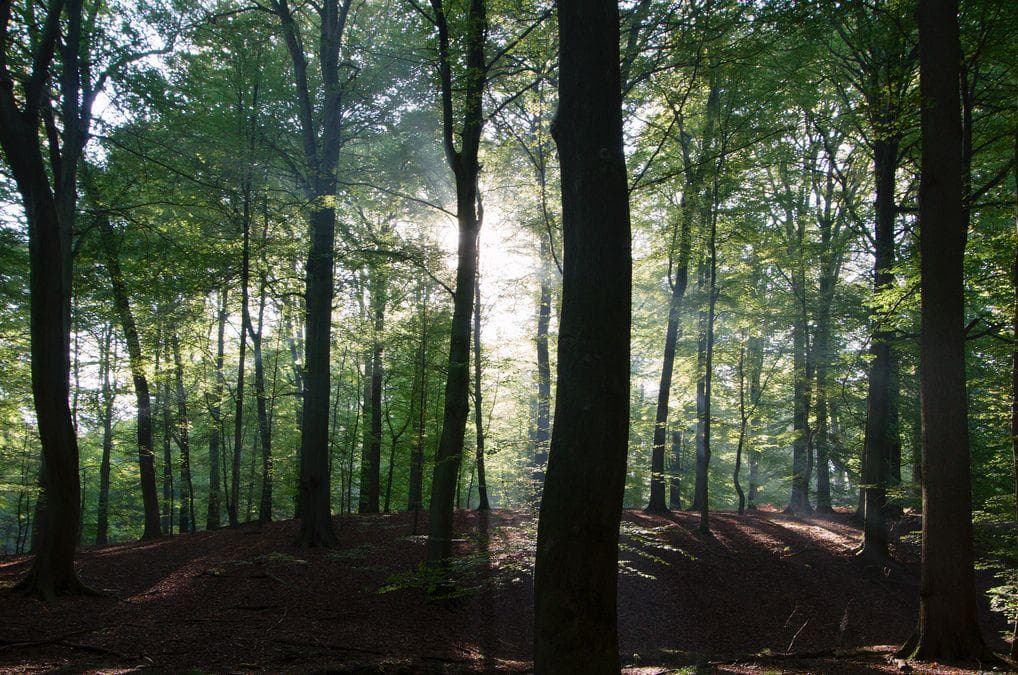 10 Lesser-Known Paranormal Entities That Are Truly Terrifying