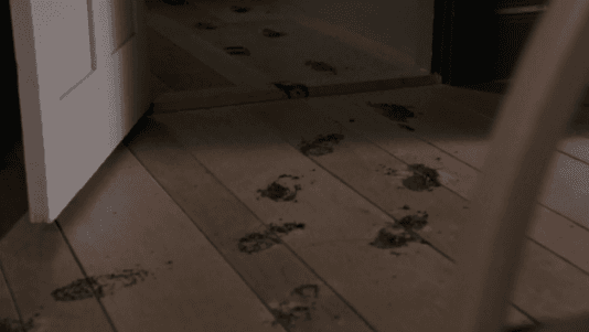 This Demonic House in Gary, Indiana Is Pure Nightmare Fuel