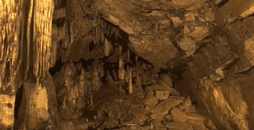 The Strange And Twisted Tale Of Bat Boy, America’s Most Infamous 'Real ...