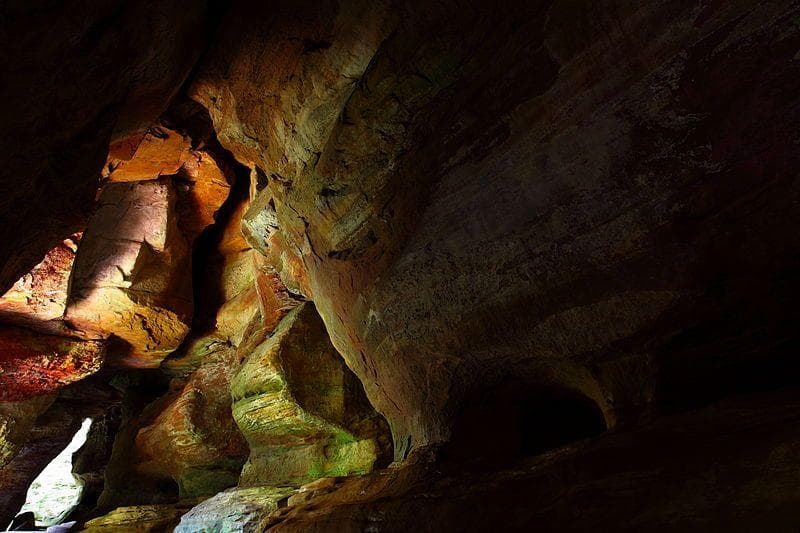 The Strange And Twisted Tale Of Bat Boy, America’s Most Infamous 'Real ...