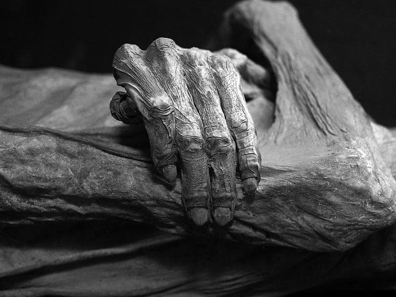 This Museum Has 111 Eerily Preserved 'Screaming Mummies'